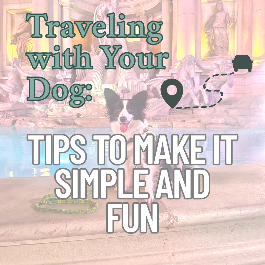 Freebies – Dog Training
